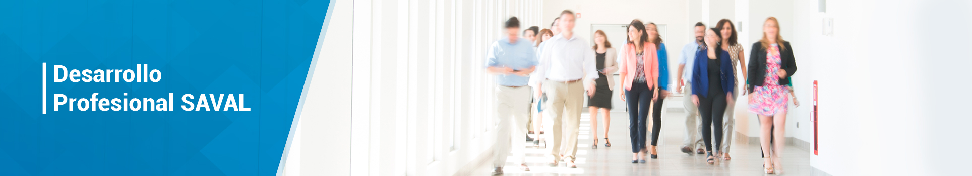 Capacitaciones SAVAL